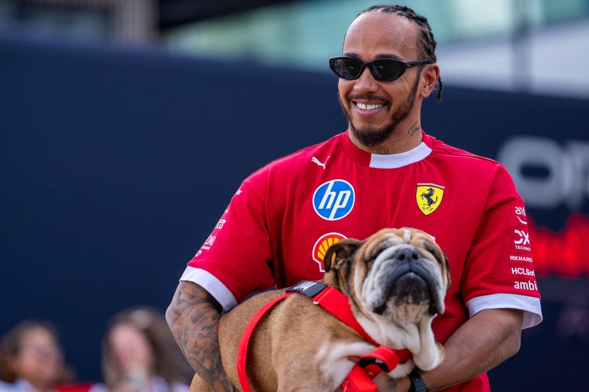 F1 legend Lewis Hamilton opens up on new pet plans after Roscoe passing