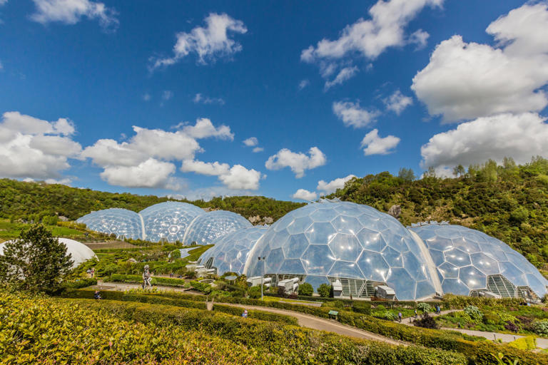 Eden Project’s losses more than double as visitor numbers fall