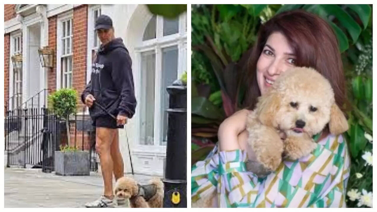 Akshay Kumar’s pet dog Jeeves moves from London to Mumbai, staff give ...