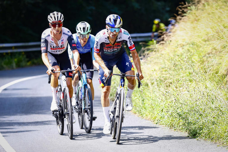 Vertanical’s cannabis-based pain relief beats opioids