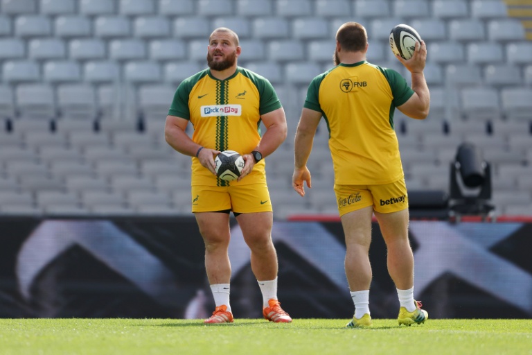 Erasmus makes late Springboks change as Nche injured
