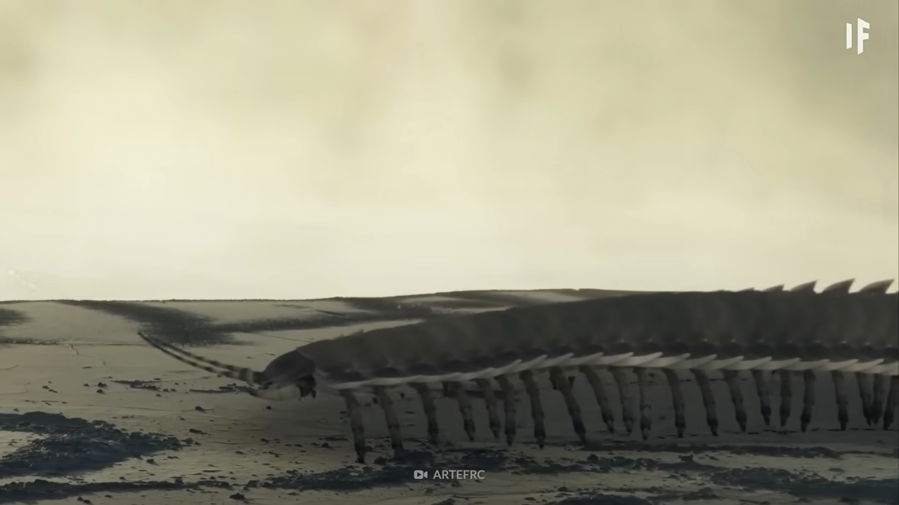 ¿Qué secretos esconde la era de los insectos gigantes?