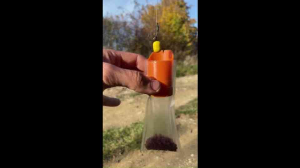 Fishing Fun from Every Angle – Carp Edition