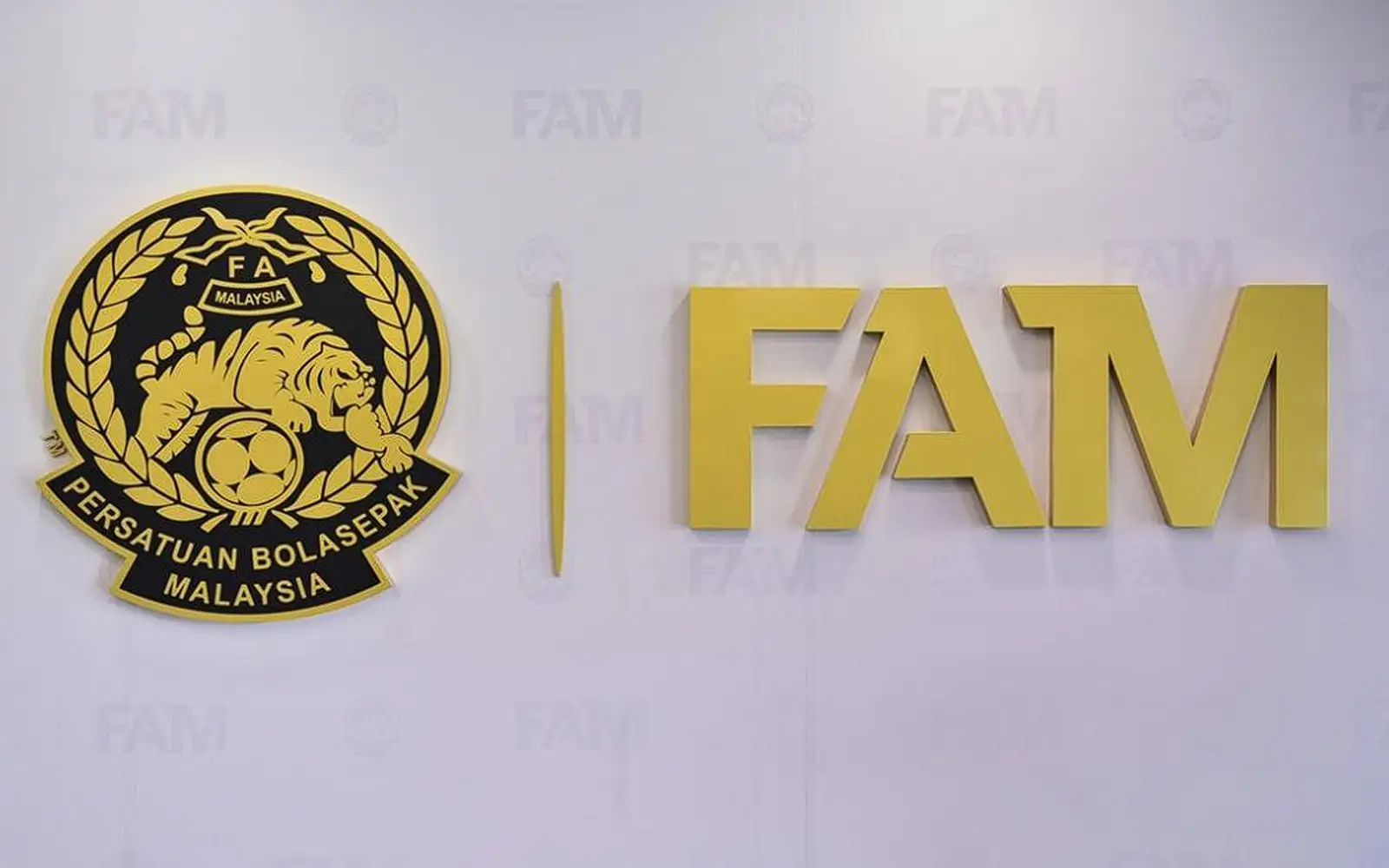 FAM affiliates unanimously approve statute amendments