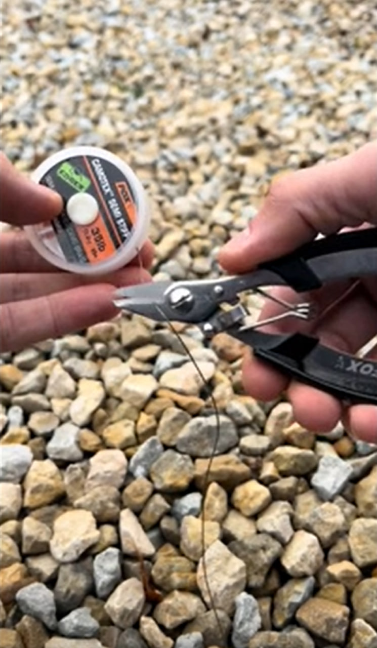 Fishing Fun Times – Best Carp Rig Moments
