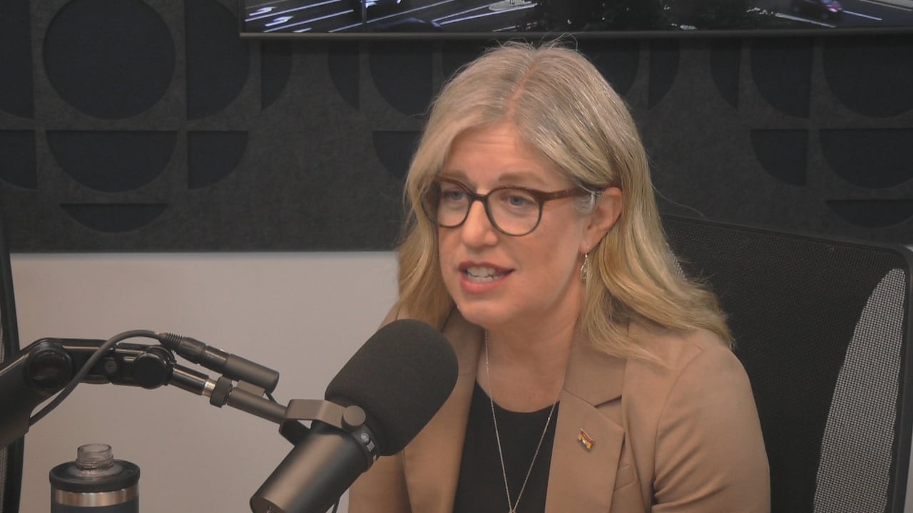 Political panel consisting of 3 New Brunswick party leaders talks about ...