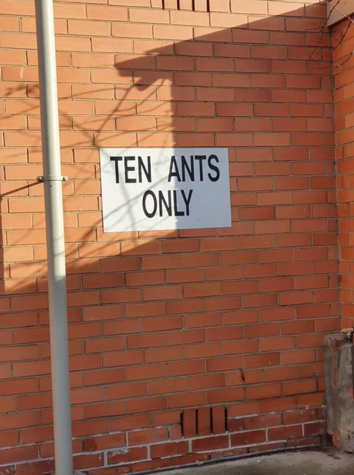Folks Are Amused By These 30 Kerning Fails That Show How Crucial ...