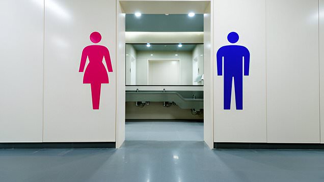 Portugal bathroom has zero privacy