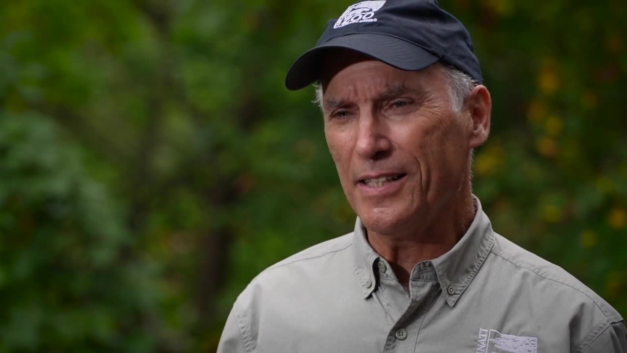 Cincinnati Zoo director Thane Maynard announces retirement after ...