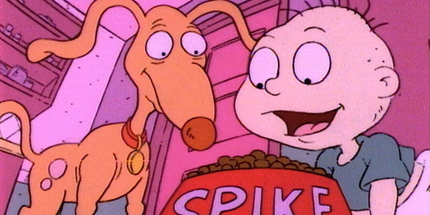 Nickelodeon's 5 Longest Running Cartoons, Ranked