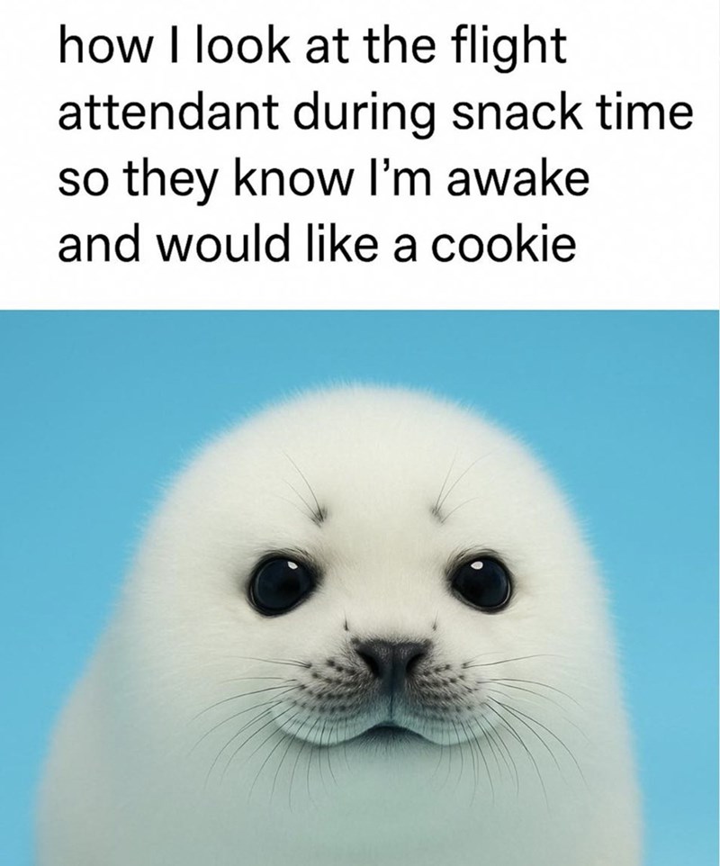 Petflix and Chill: 25 Wholesome Animal Funnies for True Animal Fans