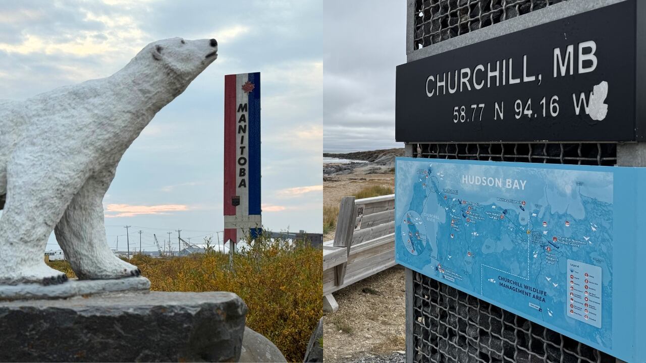 Tourism ‘saved’ Churchill, Manitoba. Is it now under threat?