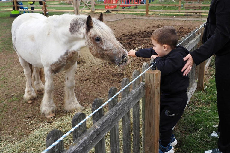 Gallery: Sunshine, smiles, and gerbils as Kempston school hosts ...