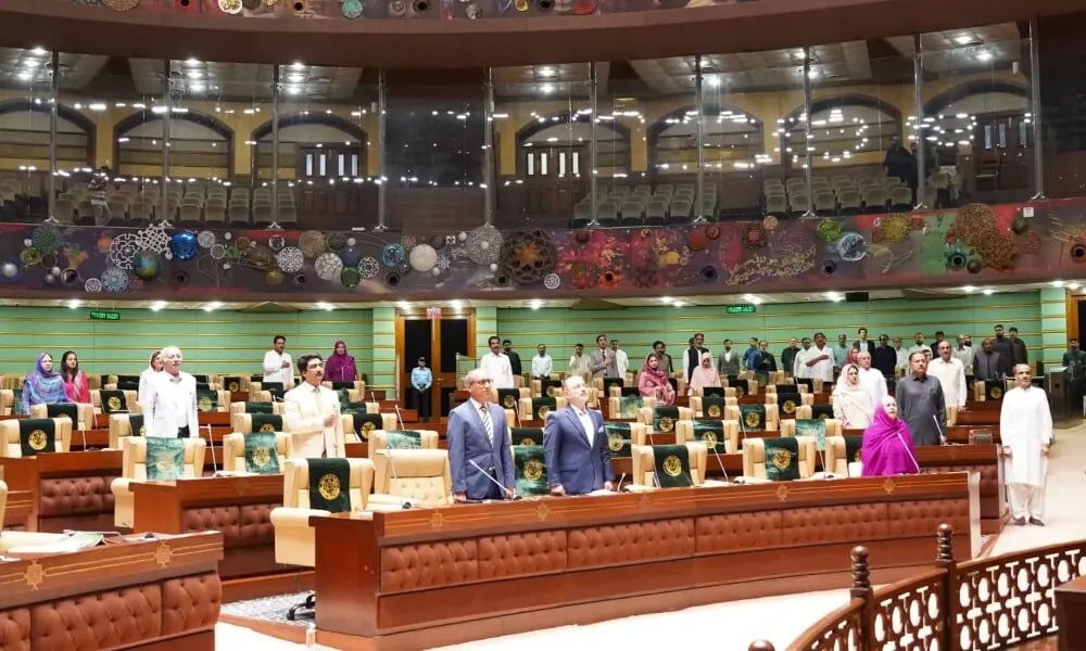 Ali Rashid appointed Sindh IT Minister, Ghani reassigned