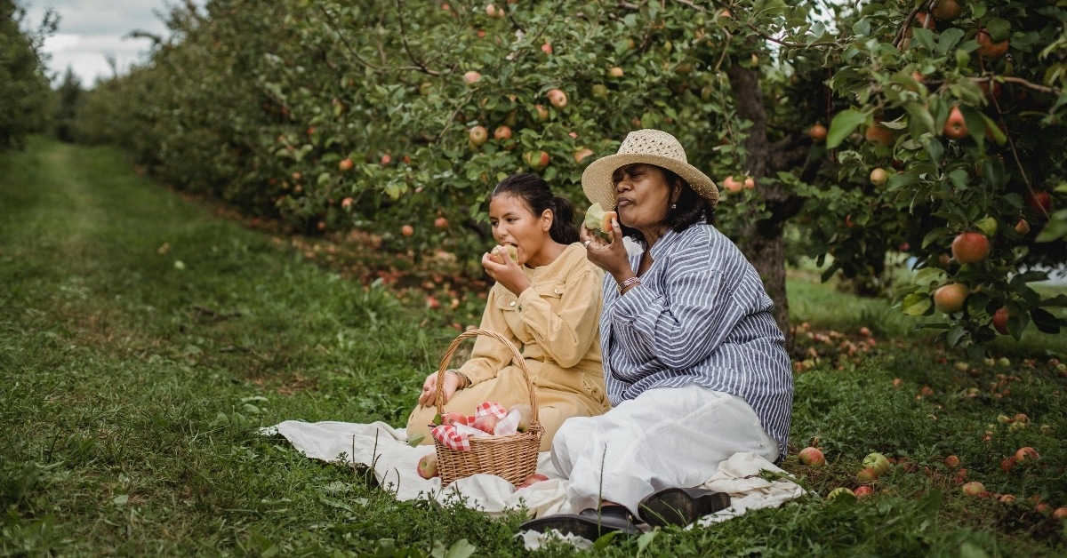 The Best Places for Apple Picking This Fall to Savor Seasonal Fun