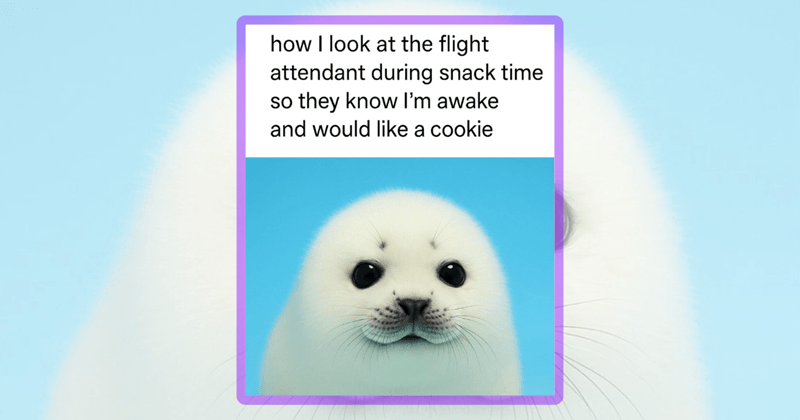 Petflix and Chill: 25 Wholesome Animal Funnies for True Animal Fans