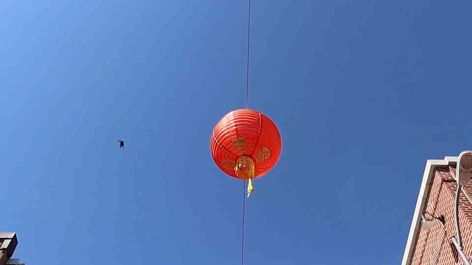 Inside Tiger Fork, One of Washington D.C.’s Top Restaurants