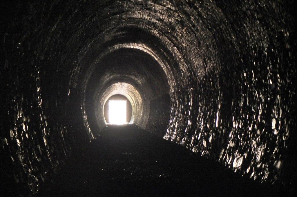 Between Life and Death: What Near-Death Experiences Reveal About ...