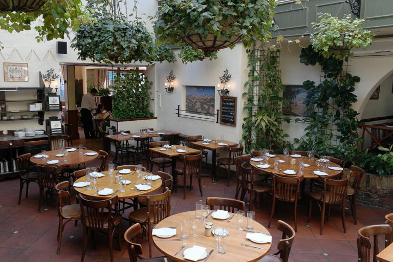 Amelia Dimoldenberg's guide to London: Lemonia, lido swims and nuggets