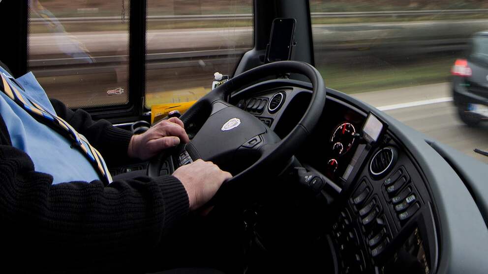 Busfahrer wird von Biene gestochen und baut Unfall – zwei Jugendliche ...