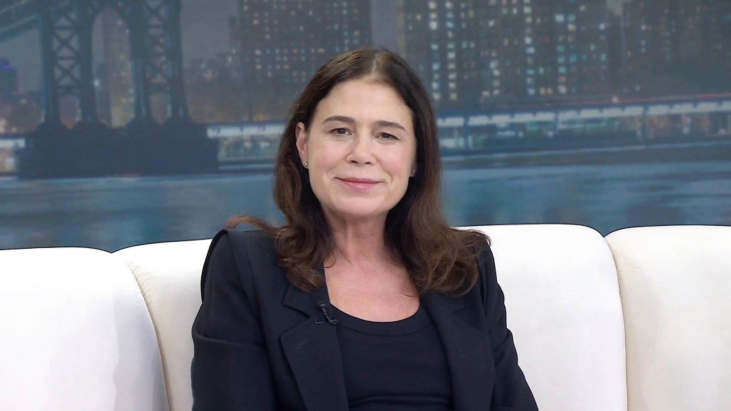 Would Former 'ER' Star Maura Tierney Appear on 'The Pitt'? What She ...