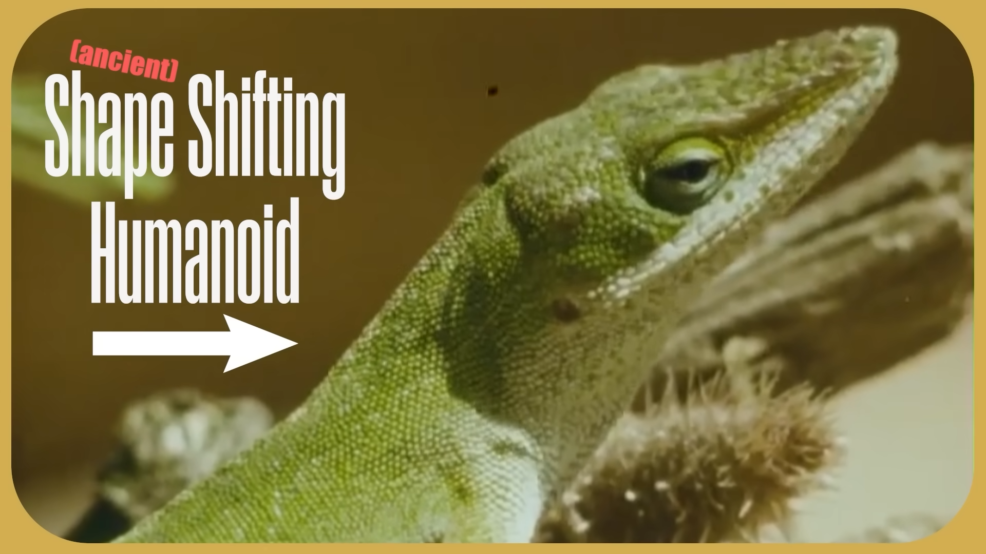 Why Millions Believe in the Lizard People Conspiracy