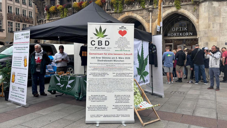 "Cannabis-König" will ins Rathaus einziehen