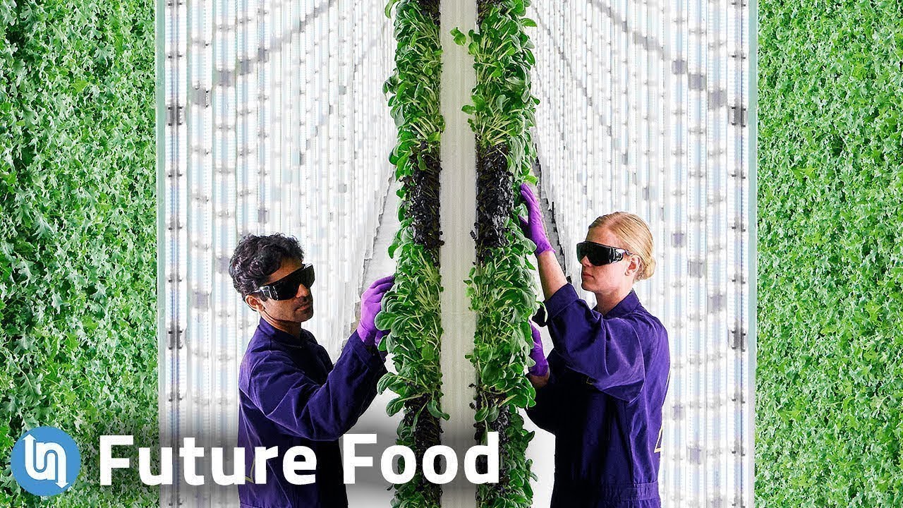 Vertical farming: The high-tech future of food?