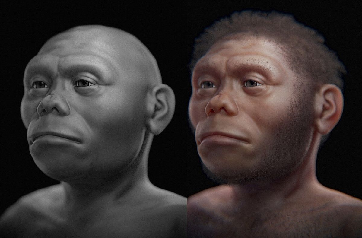 We May Finally Know How The "Hobbit" Humans Got So Small