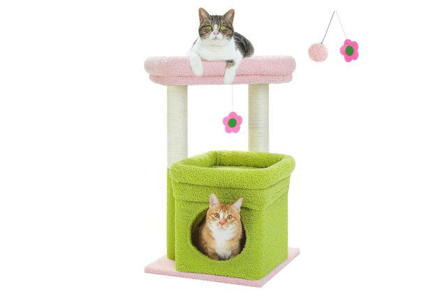 The 7 Best Cat Trees for Senior Cats of 2025