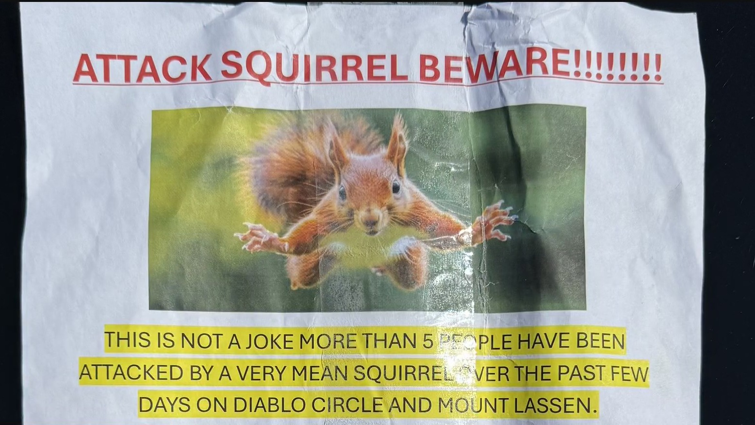 "Attack squirrel" in San Rafael neighborhood blamed for sending ...