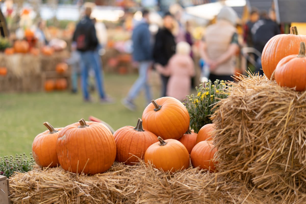 18 Birmingham Events & Happenings: October 2025