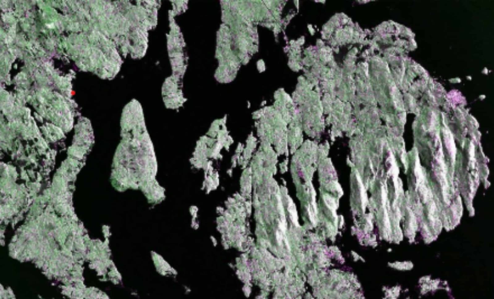 NASA’s New Satellite That Sees Through Forests Just Sent Back Its First ...