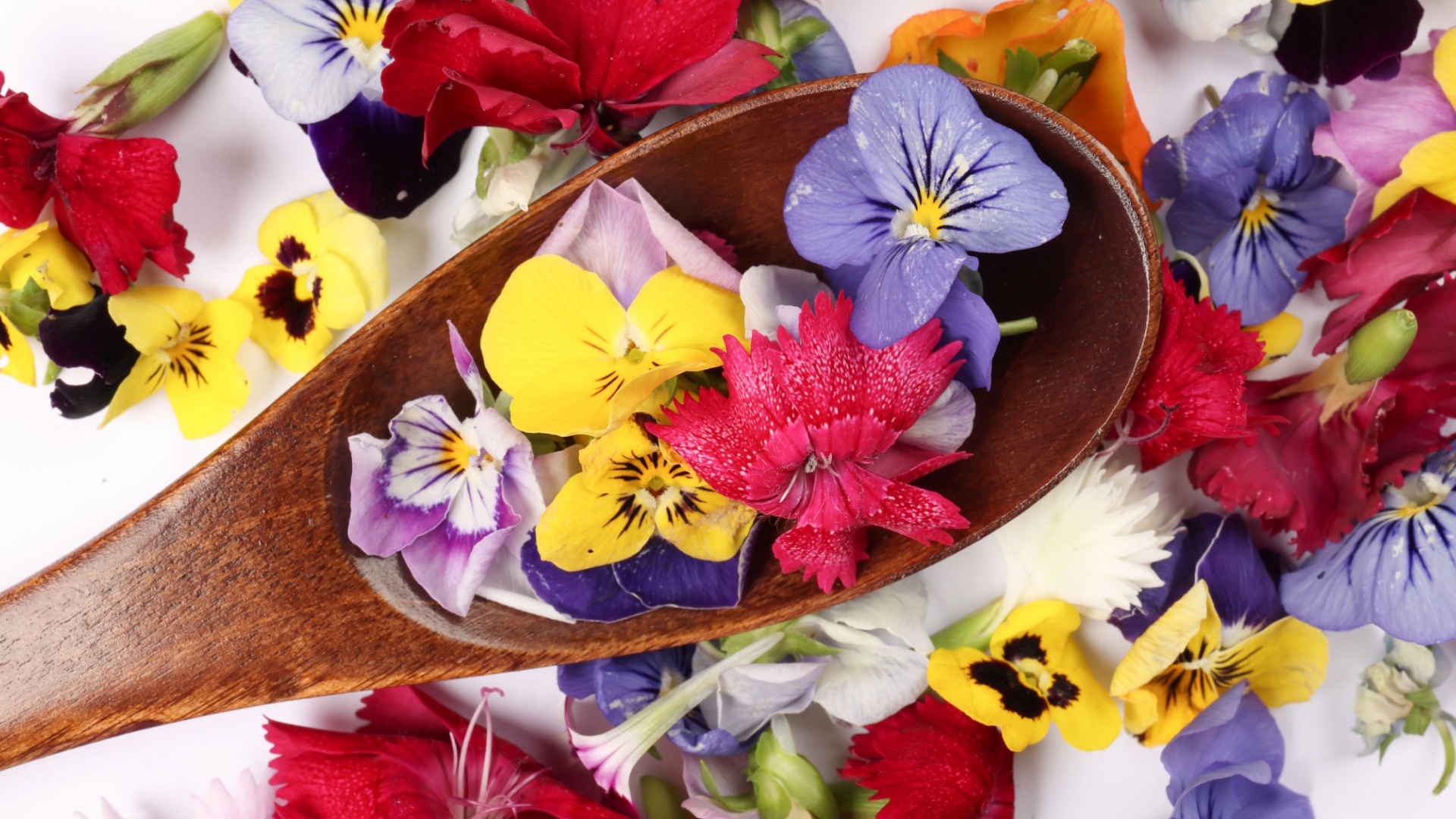 14 Common Edible Flowers Around The World
