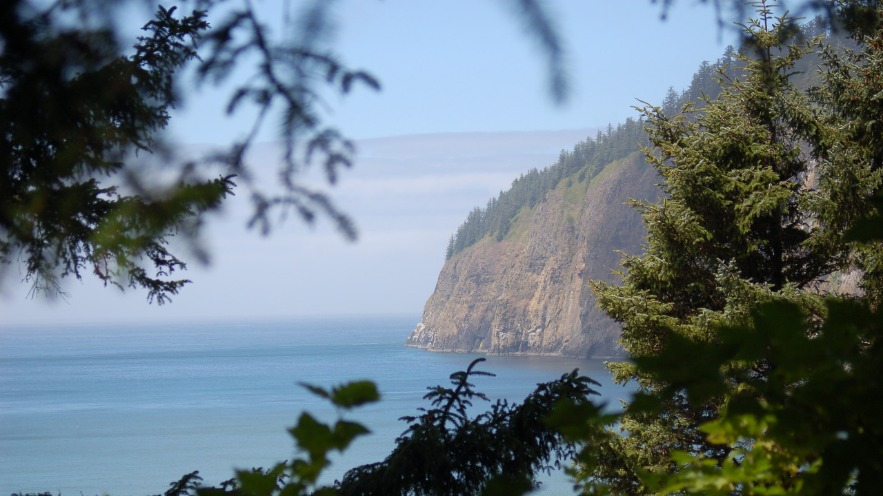 10 Oregon coast hikes with incredible ocean views