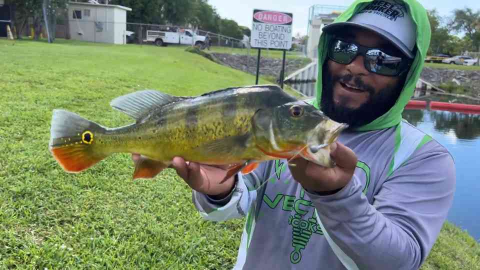 Catching Fish With A Homemade Play Doh Lure