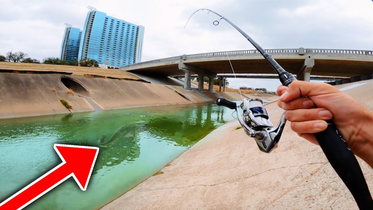 I caught the king of the urban canal using homemade bait