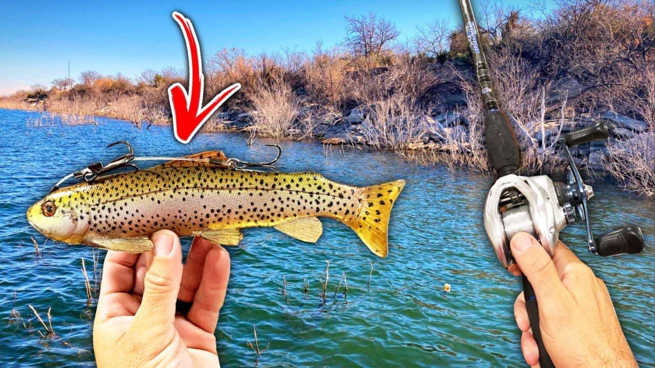 Massive swimbaits get slammed by giant fish I've been chasing