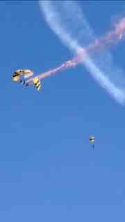 First Parachute Jump for Dogs