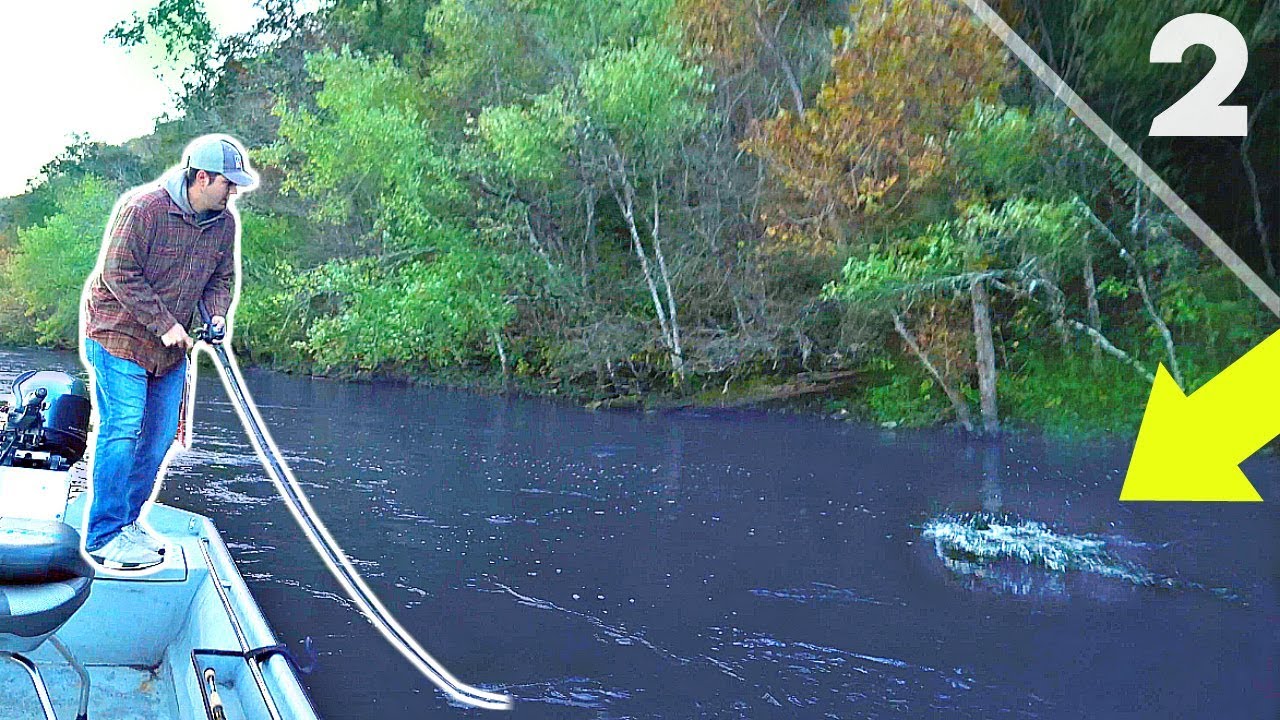 Hook into giant river fish with massive swimbaits