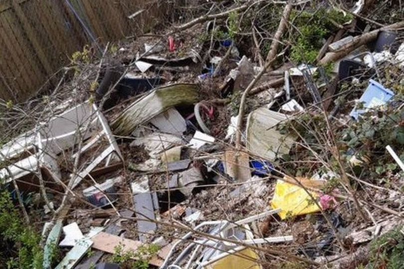Edinburgh anti-rat task force to be explored as 'invasion' has locals ...