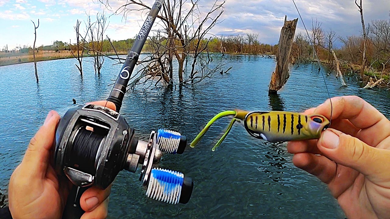 Explosive topwater bite in flooded forest amazes anglers