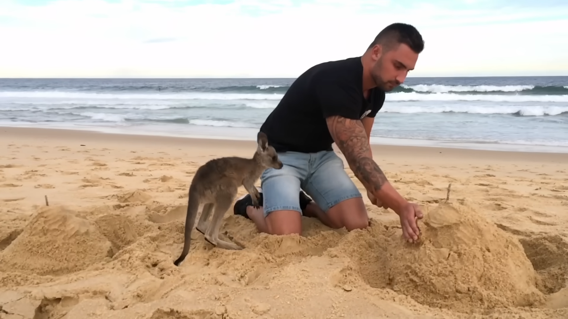 Unbelievable Bond Between a Pet Kangaroo and Owner