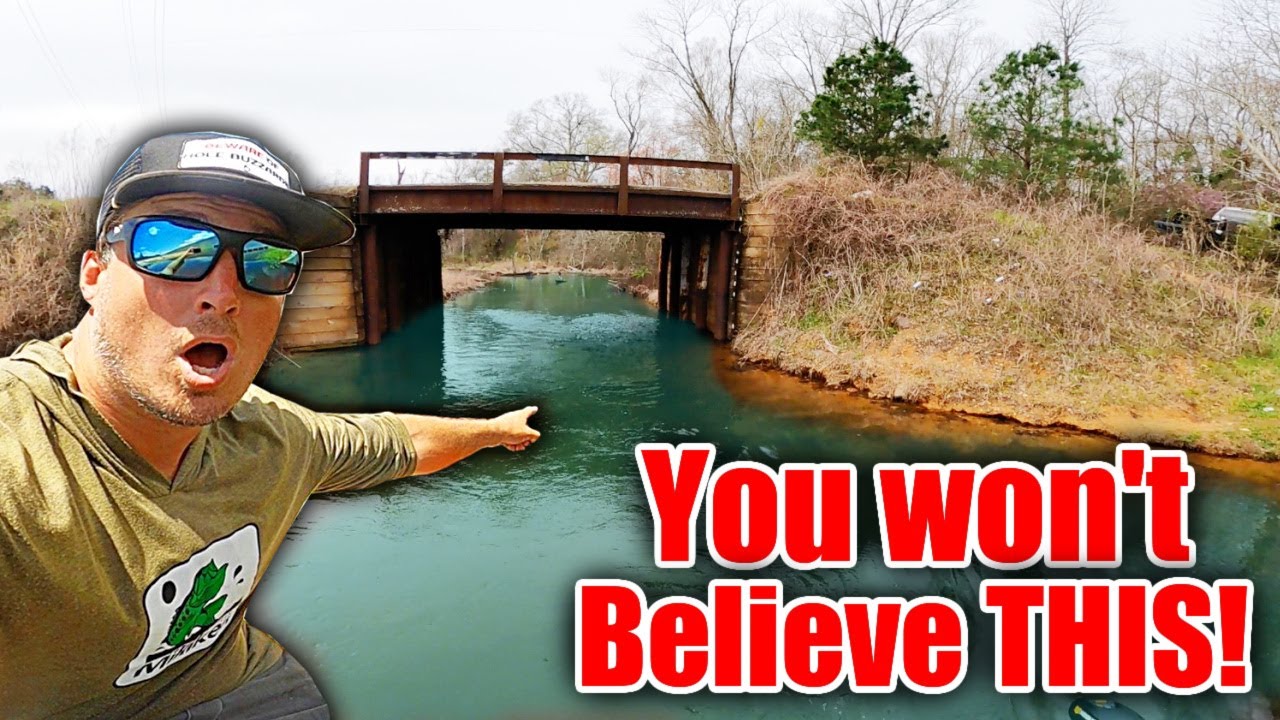 In thirty years of fishing I’ve never seen something like this