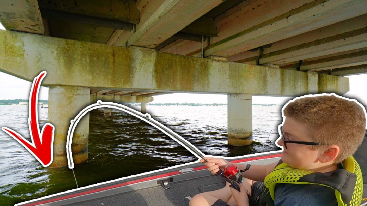 He caught the biggest fish we saw under the bridge