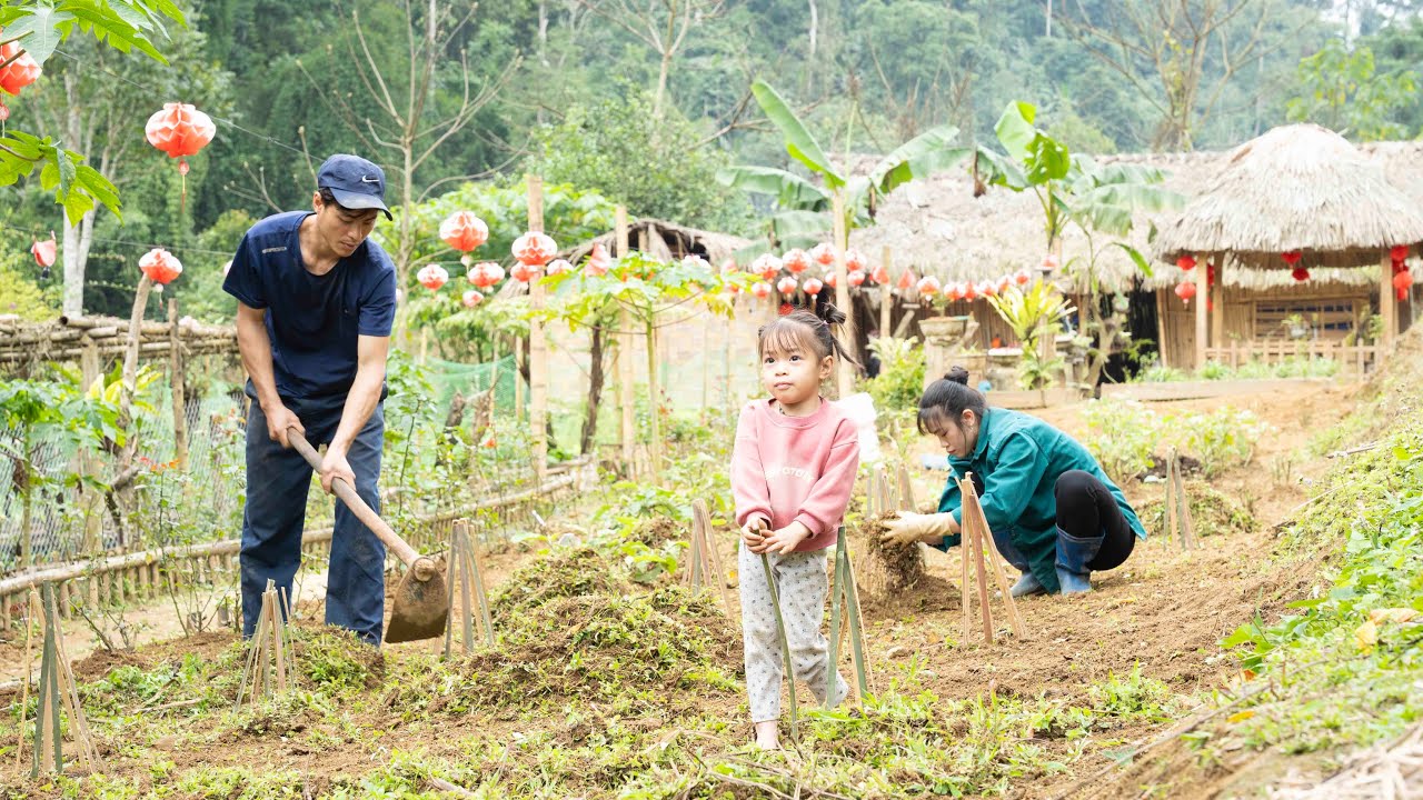 Transformasi dapur peternakan yang menakjubkan