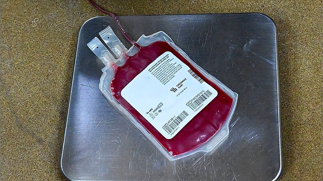 First frozen blood bank for animals created in the United States