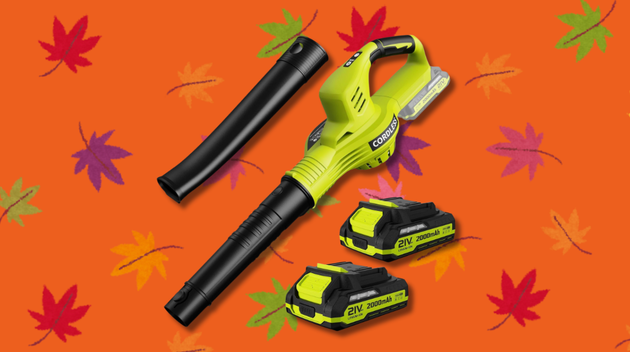This Lightweight Cordless Leaf Blower Is ‘A Game Changer For Yard Work ...
