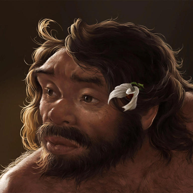 Million-year-old skull could rewrite human evolution timeline
