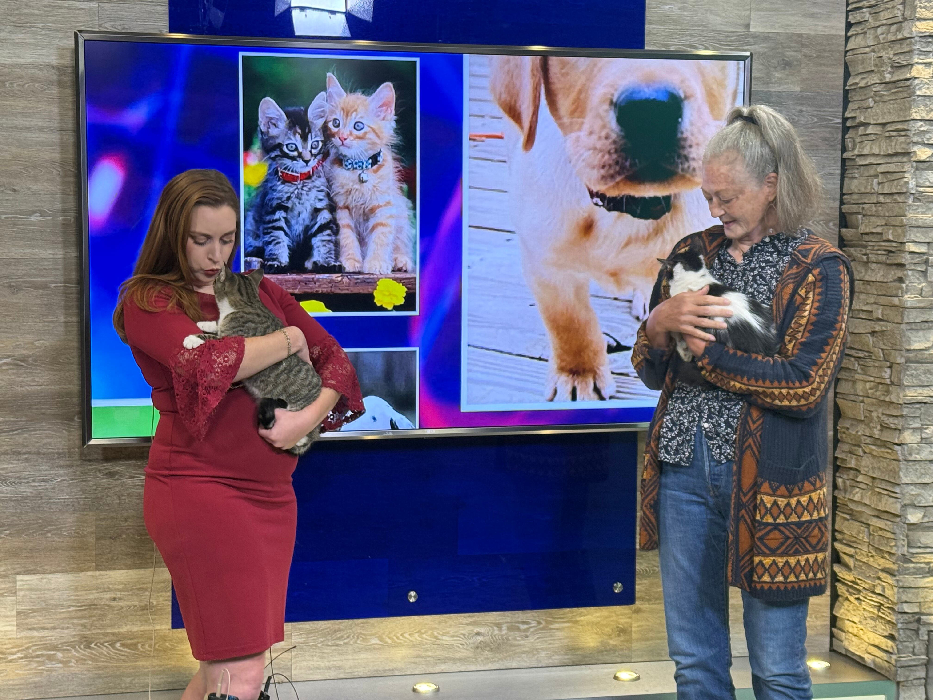 Adopt a Pet: Meet Taken and Cowboy!